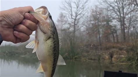 Kayak Bass Fishing Youtube