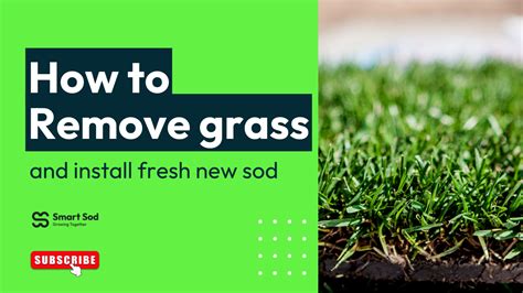 How To Remove Grass And Install Fresh New Sod Smart Sod