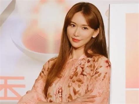 Lin Chi Ling Wants To Focus On Son For Now TheHive Asia