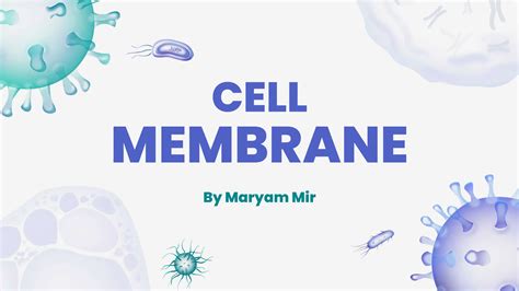 Cell Membrane And Membrane Proteins Pptx