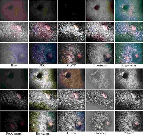 A Benchmark Dataset For Both Underwater Image Enhancement And