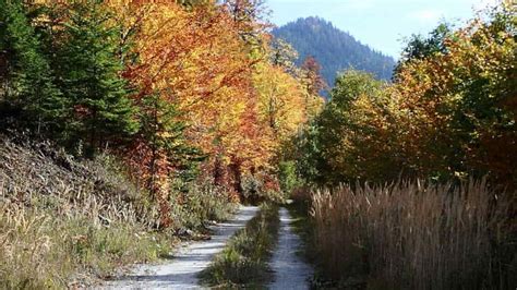 Whats The Difference Between Two Track Fire Roads Double Track And