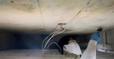 천장 닿기힘든곳 곰팡이 제거 뽀송송 청소and쓰레기수거and제빙기분해 숨고 숨은고수