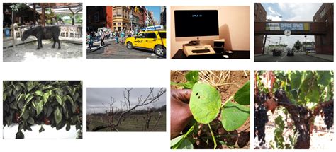 Sample Of Images From The COCO Dataset Row 1 And From Assorted Download Scientific Diagram