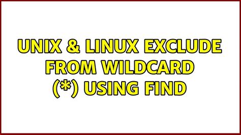 Unix And Linux Exclude From Wildcard Using Find 2 Solutions Youtube