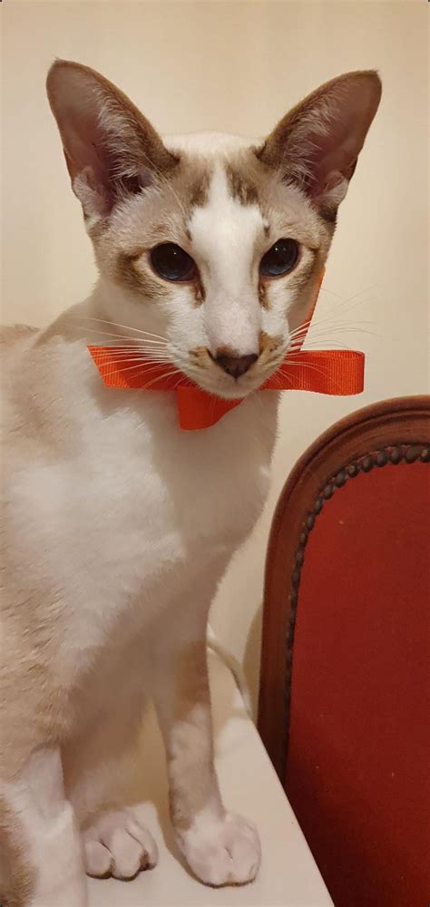 Jobseeker Talentacquisition Recruitment Leadership London Reading Remotework Daniel Crawley