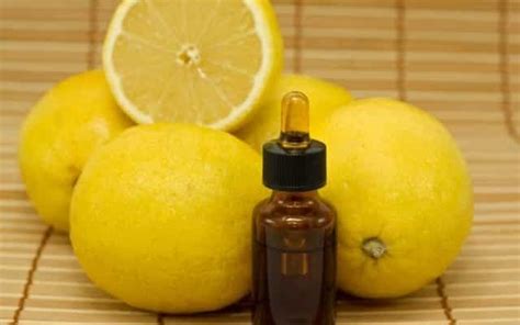 ლიმონის ზეთი აუცილებელი საშუალება ჩვენი ორგანიზმისთვის სასარგებლო რჩევები