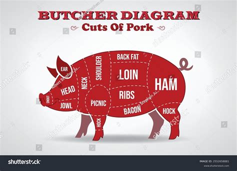 Set Illustration Butcher Diagram Pork Cuts Stock Vector Royalty Free