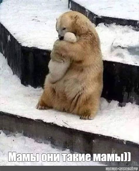 Создать мем белый медведь милый животные смешные веселый медведь Картинки Meme