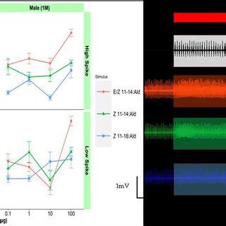 Olfactory Receptor Neurons ORN Responses To Female Sex Pheromones In Download Scientific