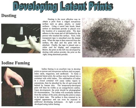 Fingerprint Investigation