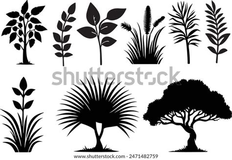 Tree Collection Vector Free Vector Set Stock Vector Royalty Free Shutterstock