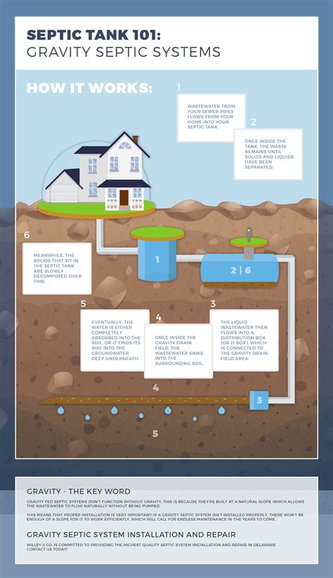 Gravity Septic Systems Everything You Need To Know Willey And Co