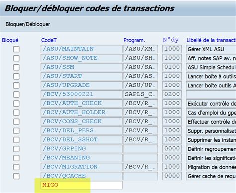 Comment Bloquer Simplement Une Transaction Sap Sans Passer Par Les Autorisations Sapandco