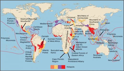 Extinction And Conservation Biology The Biology Of Sex And Death Bio 1220