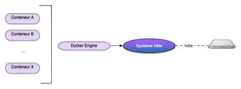 Préliminaires Docker — Bases De Données Documentaires Et Distribuées V