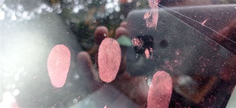 Dactiloscopia Dactiloscopia Criminalistica Y Ciencias Forenses Huellas