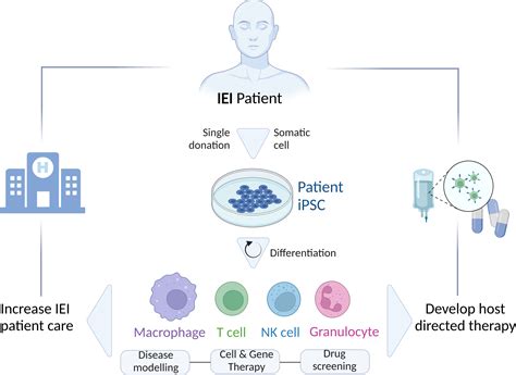 Frontiers In Vitro Systems To Study Inborn Errors Of Immunity Using