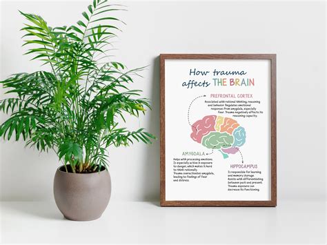 How Trauma Affects The Brain Trauma And The Brain Brain Etsy