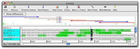Customizing CodonCode Aligner