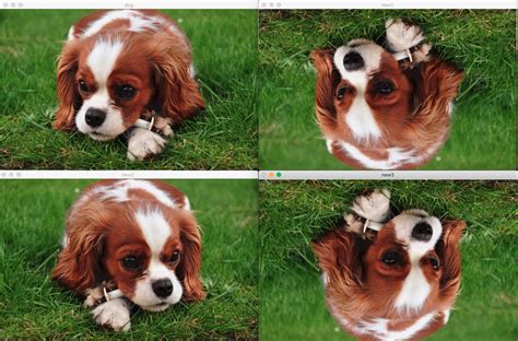 图像基本变换 弹力笔记