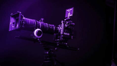 تماشا آنلاین آثار ارین هاروی بیوگرافی