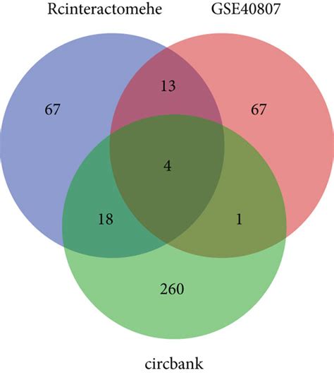 Bioinformatics Analysis Predicted The Differentially Expressed