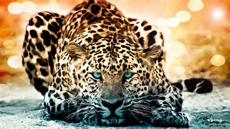 190 Jaguar Hd Wallpapers Backgrounds