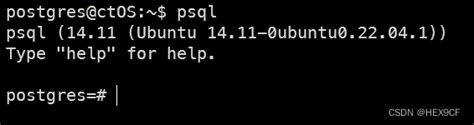 【linux】postgresql 数据库安装教程（ubuntu 2204）apt Install Postgresql Csdn博客