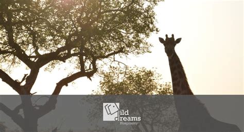 Anna Tinker On Linkedin Executive Sous Chef Position Available In