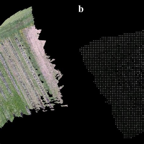 figure a2 a top view example of the downsampling process for the raw