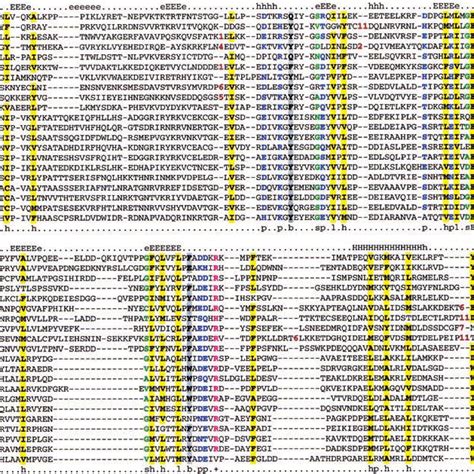 Multiple Sequence Alignment Of The Ku Core Domains The Secondary
