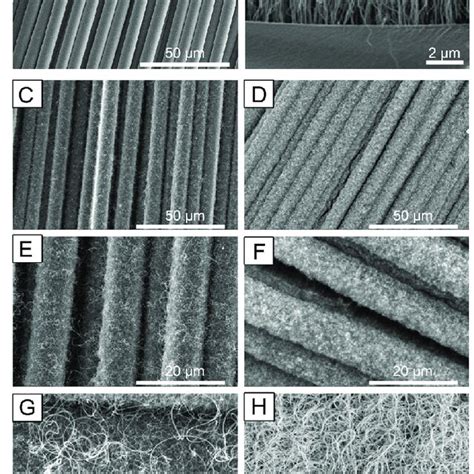 Multiscale Hierarchical Structure Of Carbon Fiber With Carbon Nanotubes Download Scientific