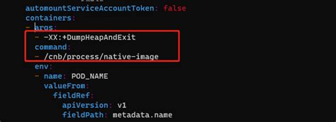 Configure Runtime Augument For Java Native Image · Issue 252 · Paketo Buildpacksnative Image