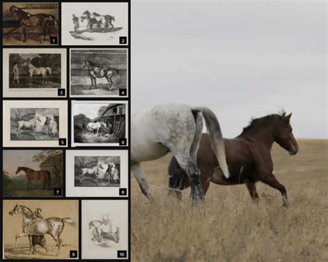 Dino V2 The State Of The Art Self Supervised Learning Algorithm