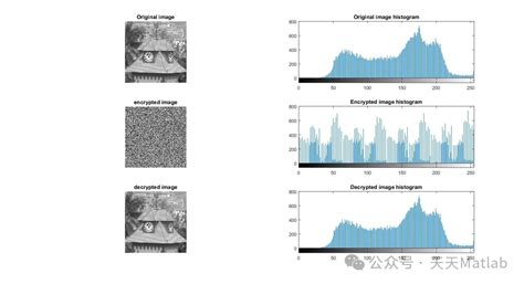 【图像加密】基于三维混沌映射图像加密解密（含直方图）附matlab代码 Csdn博客