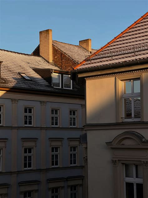 집 밖의 가지 건물 건물 외관 건축 계절의 변화 고전적인 외관 굴뚝 그림자 기이 한 나무 나무 실루엣 낮 도시 건물 도시 경관 도시의 미묘한