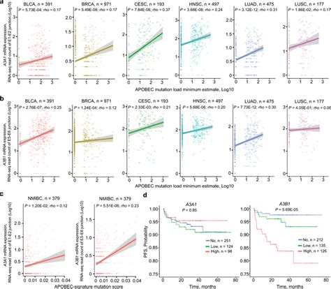 Analysis Of A3a1 And A3b1 Expression Based On Exonexon Junction