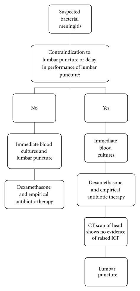 Management Of Suspected Bacterial Meningitis [9] Download Scientific