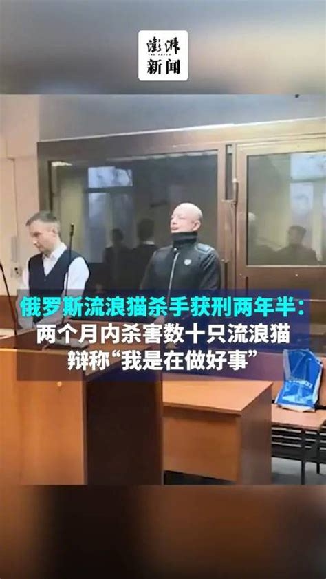 俄罗斯一流浪猫杀手获刑两年半：两个月内杀害数十只流浪猫手机新浪网