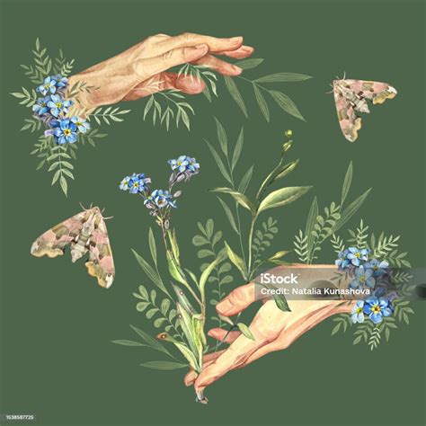 수채화는 짙은 녹색 배경에 푸른 꽃과 나뭇잎과 나방이 있는 인간의 손을 뻗었다 나를 잊지 말고 도움이나 친절의 손으로 그린 몸짓