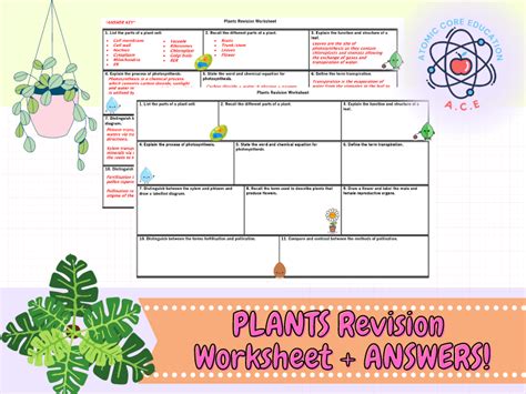 Plants Revision Worksheet And Answers Teaching Resources