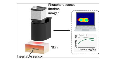 Insertable Glucose Sensor Using A Compact And Cost Effective