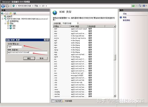 Iis 之 添加mime扩展类型及错误403 知乎