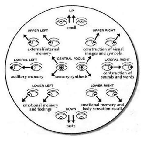 Eye Directions And Their Meanings Reading Body Language Psychology