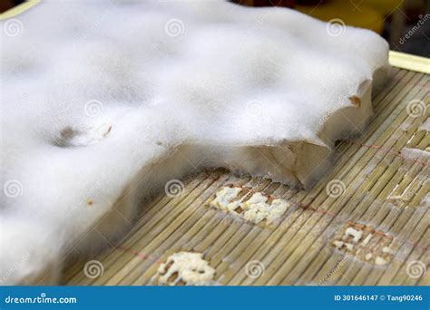 Mao Doufu Hairy Tofu Is A Traditional And Famous Vegetarian Dish In