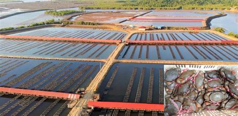 ခုနစ်လကျော် ကာလအတွင်း တရုတ်နိုင်ငံသို့ ကဏန်းတန်ချိန် ငါးထောင်ကျော်နှင့