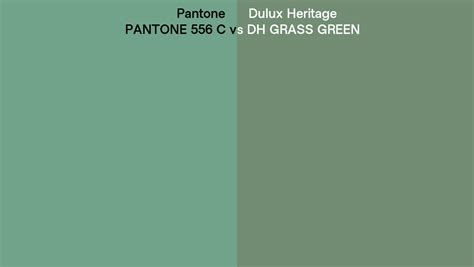 Pantone 556 C Vs Dulux Heritage Dh Grass Green Side By Side Comparison