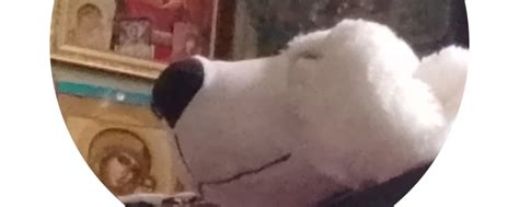 Моя любимая семья бабушка и дедушка Я ЛЮБЛЮ ВАС МОИ ЛЮБИМЫЕ БАБУШКА И ДЕДУШКА ☺ 2025