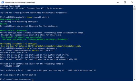 Simple Peerjs Video Calling Example With Node Js FYP Solutions